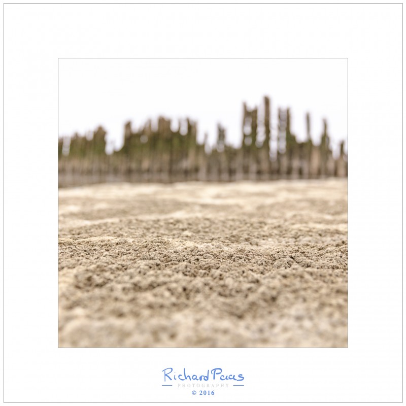 Hans Sas Waddenfotografie - Richard Paas